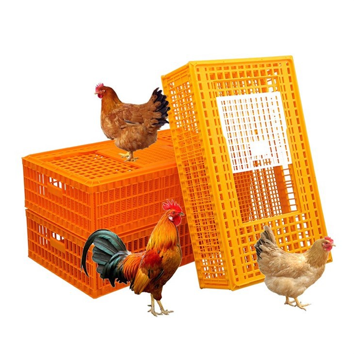 China Large Single Door Plastic Chicken Crate Manufacturers Suppliers ...
